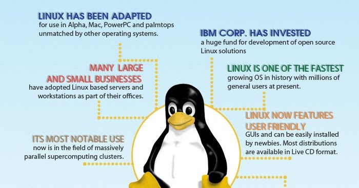 fraterneo GNU/Linux: La historia de Linux en una infografia