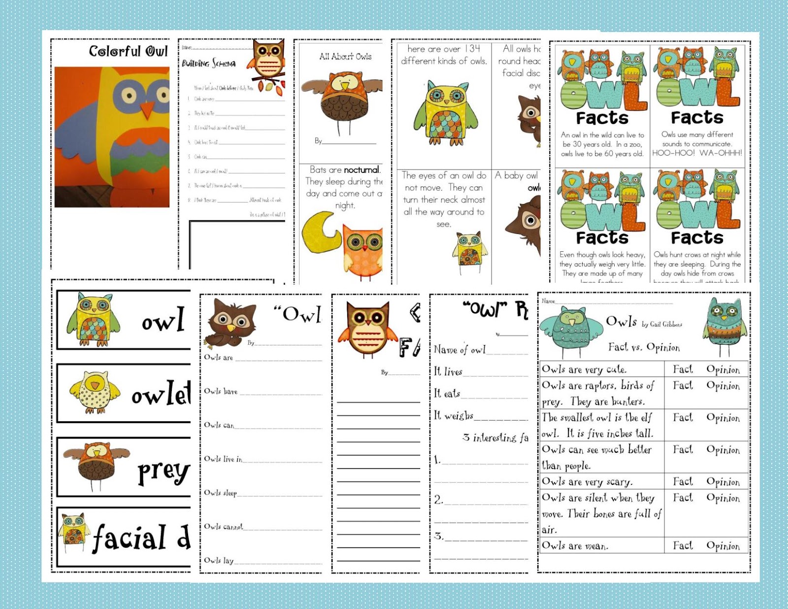 Owls! - Megan Mitchell