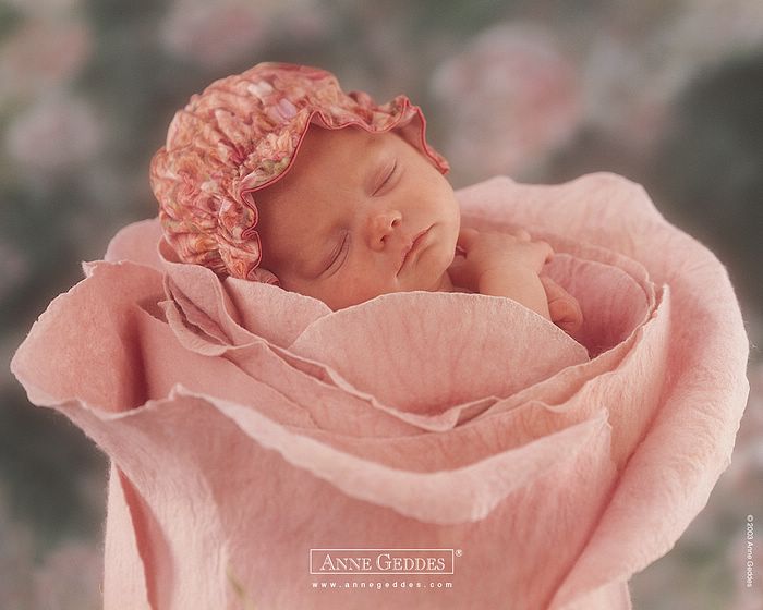 Imágenes de bebés Anne Geddes - Imagui
