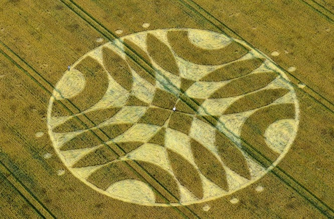 Crop Circle at Overton Down Avebury Wiltshire : 18th July 2011 - Psychedelic Adventure