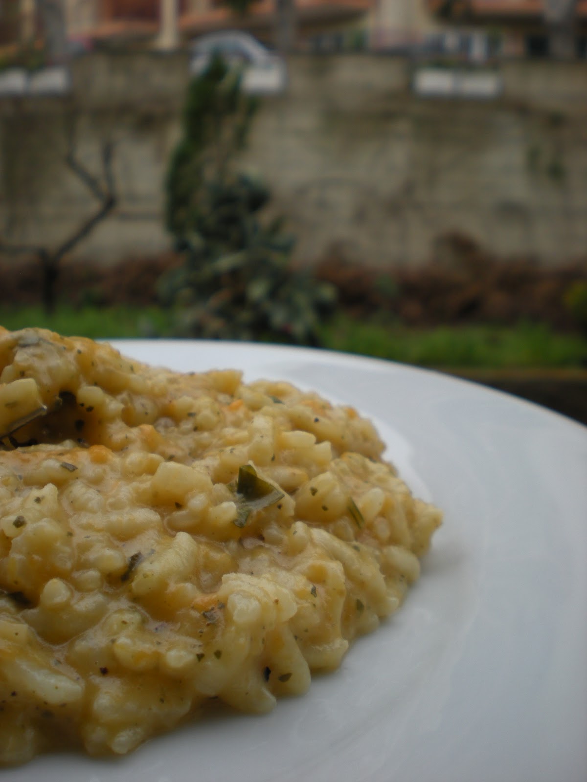 Risotto Zucca e Pesto Genovese - Profumo di Sicilia