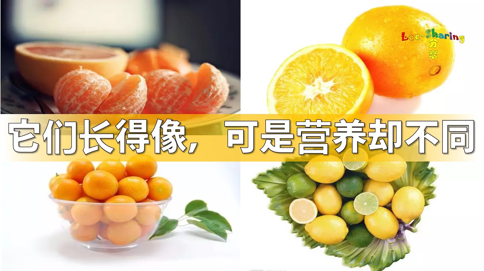橘子、橙子、柚子……它们长得像，营养可差了十万八千里~~~ - Leesharing