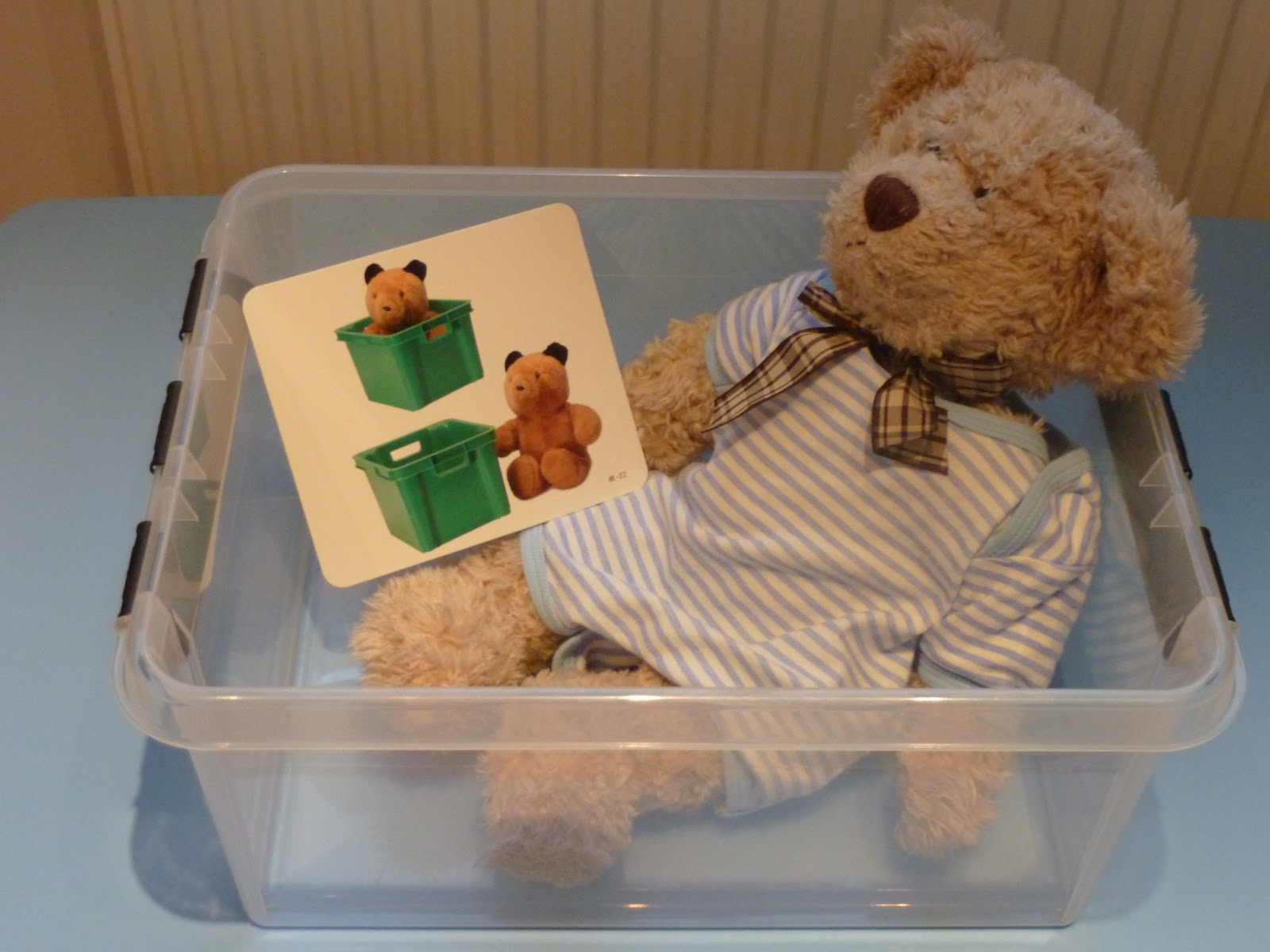 Family FECS: Montessori Activity: Inside & Outside Sensory Box