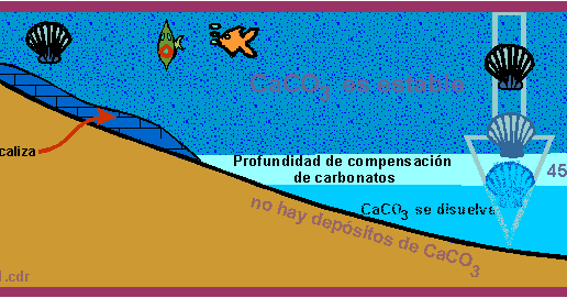 ciclos biogeoquimicos: Ciclo del calcio