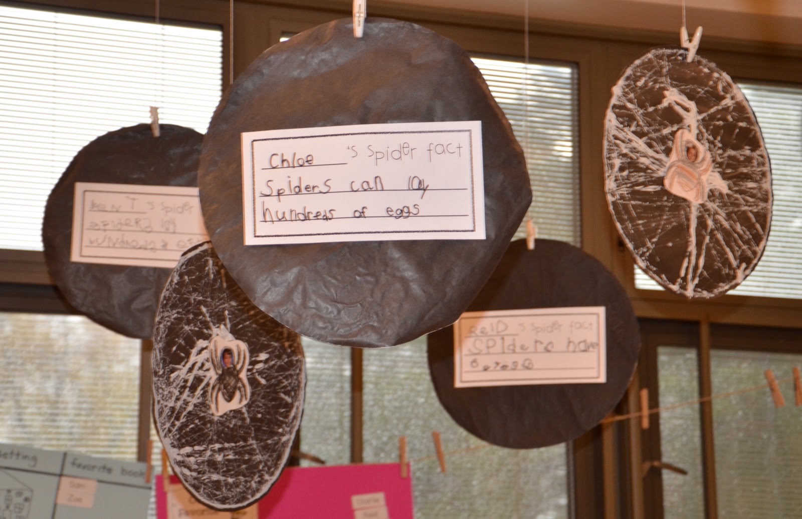 A Place Called Kindergarten: spider research