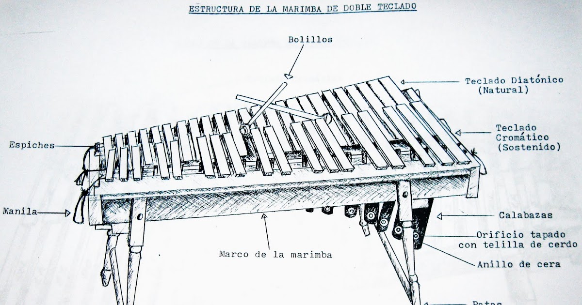 Marimba nicaragüense: Nuestro piano de madera: Cómo se hace una marimba ...