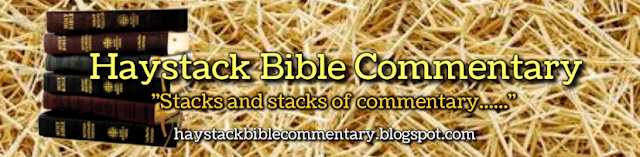 Haystack Bible Commentary John 2 13 16 When It Was Almost Time For haystack-bible-commentary-john-2-13-16-when-it-was-almost-time-for