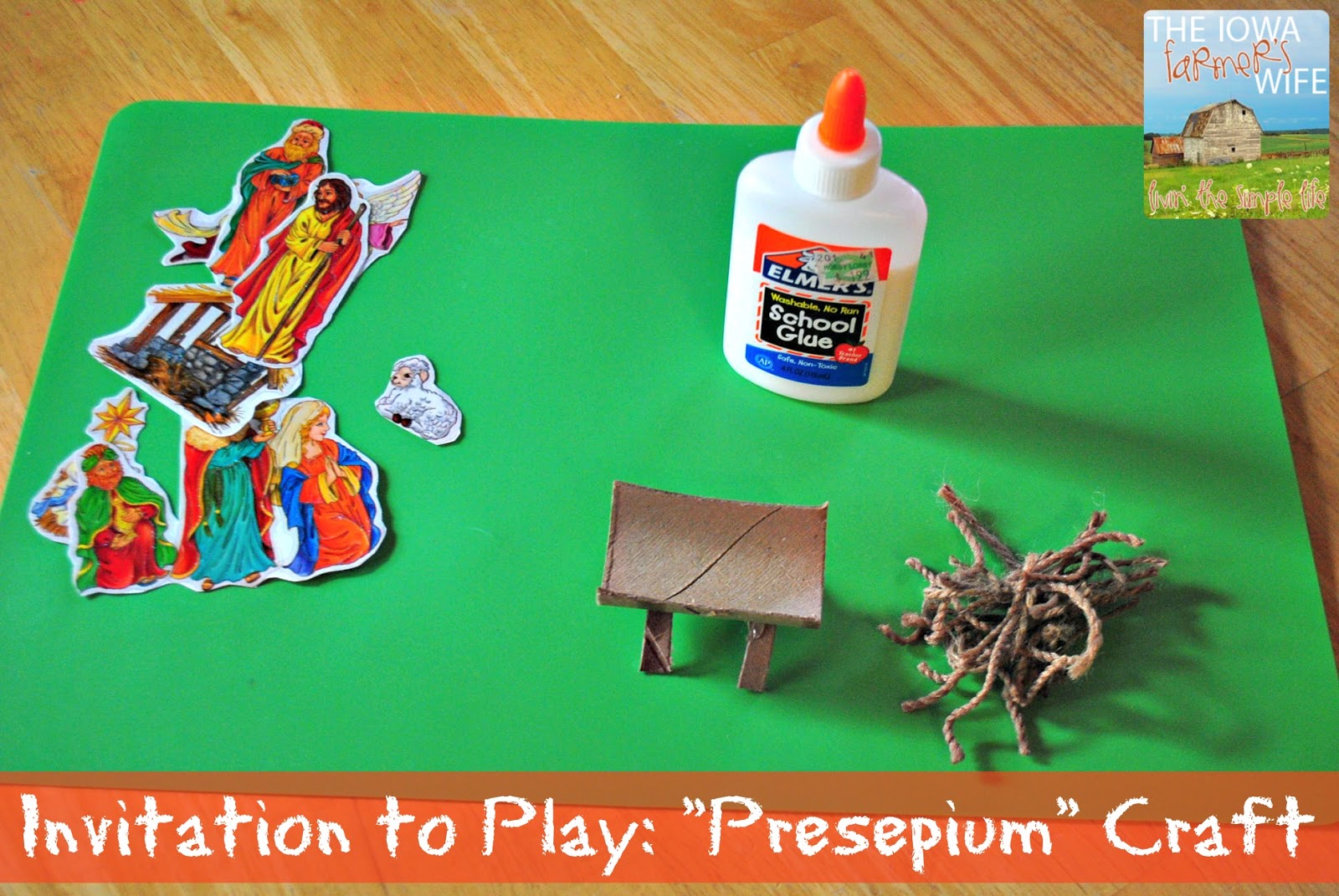 The Iowa Farmer's Wife: Christmas Around the World: Brazil