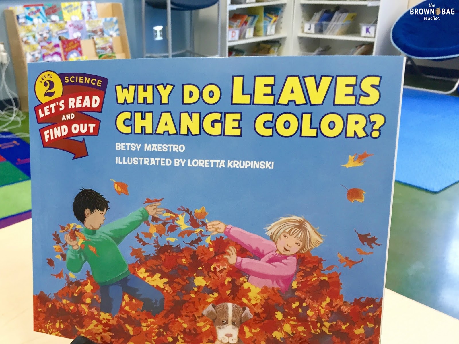 Leaf Chromatography: Why do leaves change color? | The Brown-Bag ...