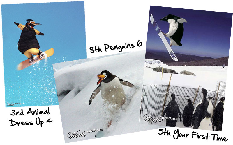 Worth1000 closure wreaks devastation on the snowboarding penguin ...