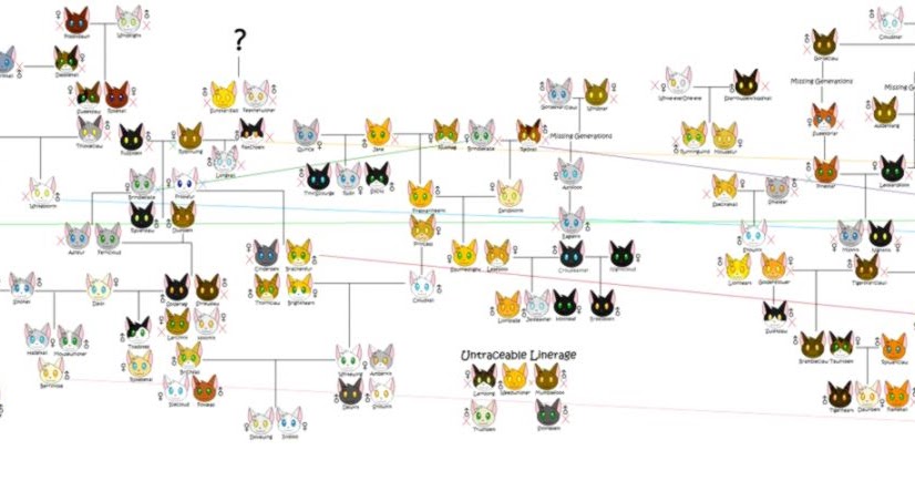 Warrior Cats Thunderclan Family Tree | Wallpapers Gallery