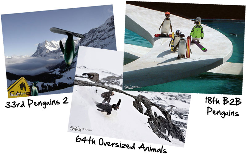 Worth1000 closure wreaks devastation on the snowboarding penguin ...