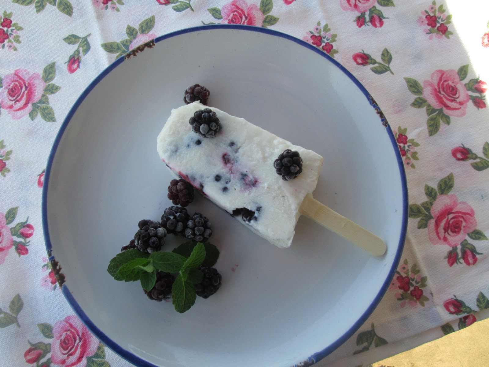 Canela kitchen (gloria): Paletas de yogurt con moras (Yogurt Ice pops ... Canela kitchen (gloria): Paletas de yogurt con moras (Yogurt Ice pops ...
