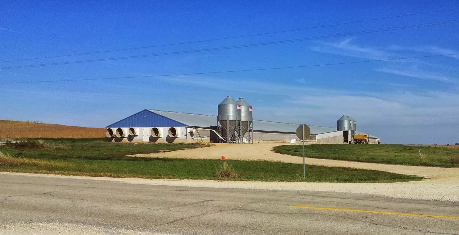 Wickham Family Farm: What makes Wickham Farm Pork the Best! Wickham Family Farm: What makes Wickham Farm Pork the Best!