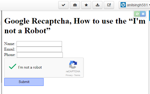 Google Captcha Code In Asp.net - metafasr