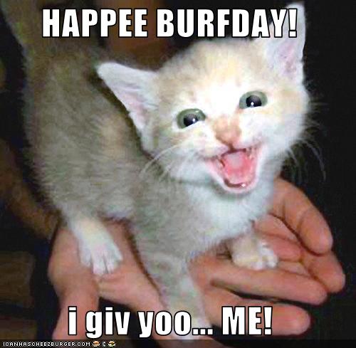 Funny And Wild Animals Funny Animals Happy Birthday funny-and-wild-animals-funny-animals-happy-birthday