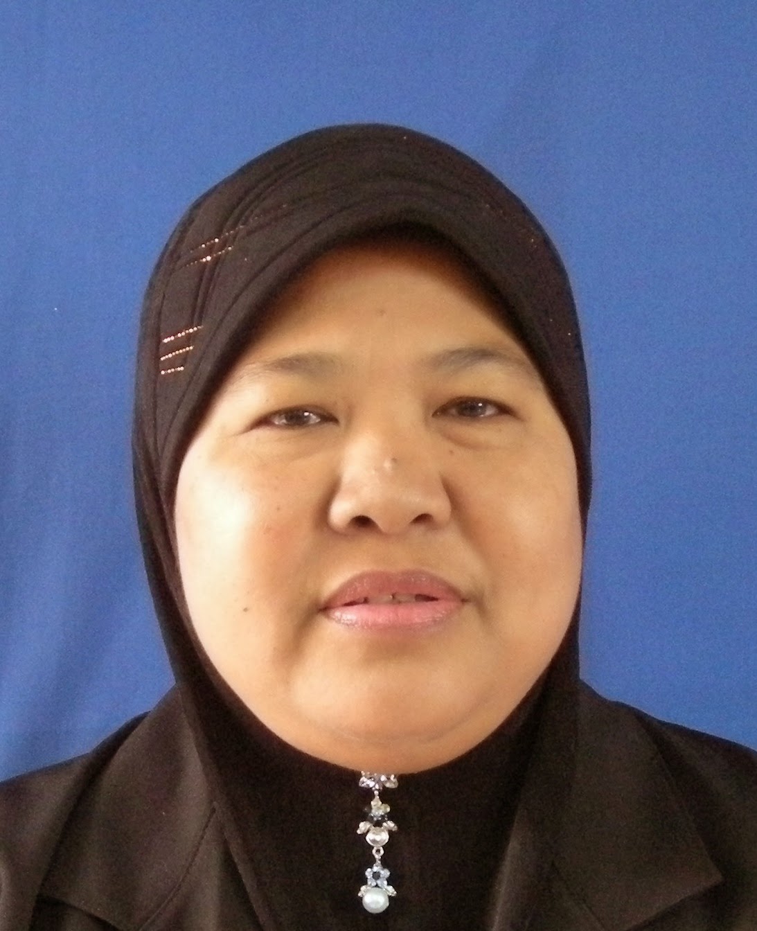 LAMAN WEB SPBT SK BANANG JAYA: MENGENAI KAMI