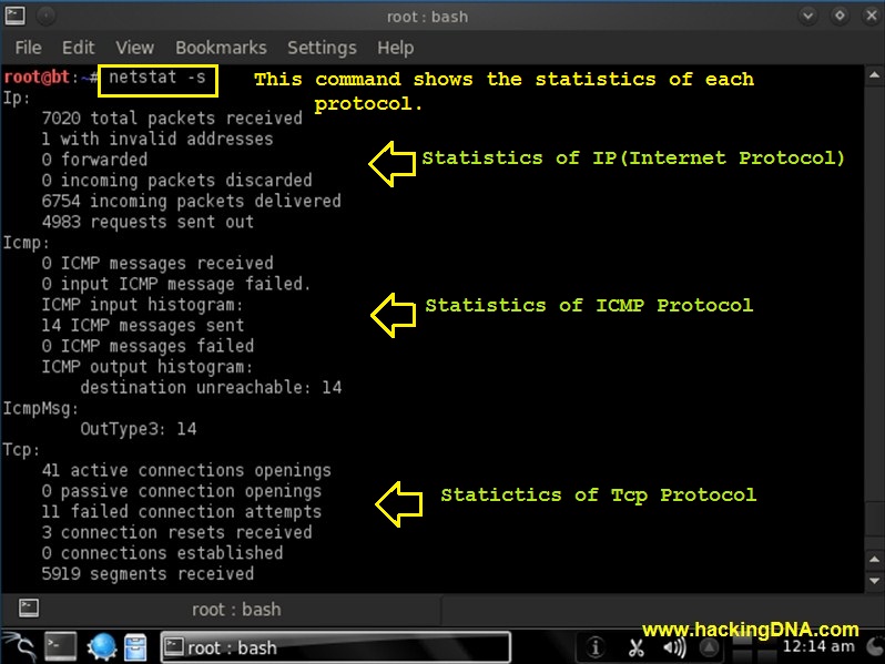 HackingDNA: Learn how to use Netstat Commands On Backtrack 5 HackingDNA: Learn how to use Netstat Commands On Backtrack 5