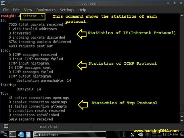 HackingDNA: Learn how to use Netstat Commands On Backtrack 5 HackingDNA: Learn how to use Netstat Commands On Backtrack 5