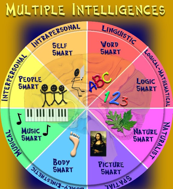 Young Adulthood Cognitive Development young-adulthood-cognitive-development