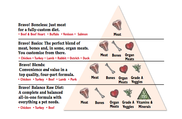 Dog Breed Directory Healthy Diet Dog Food Tips On Ensuring Your Dog dog-breed-directory-healthy-diet-dog-food-tips-on-ensuring-your-dog