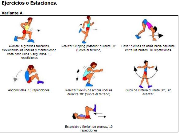 MOVIMIENTOS NATURALES: EJERCICIOS EN CIRCUITO