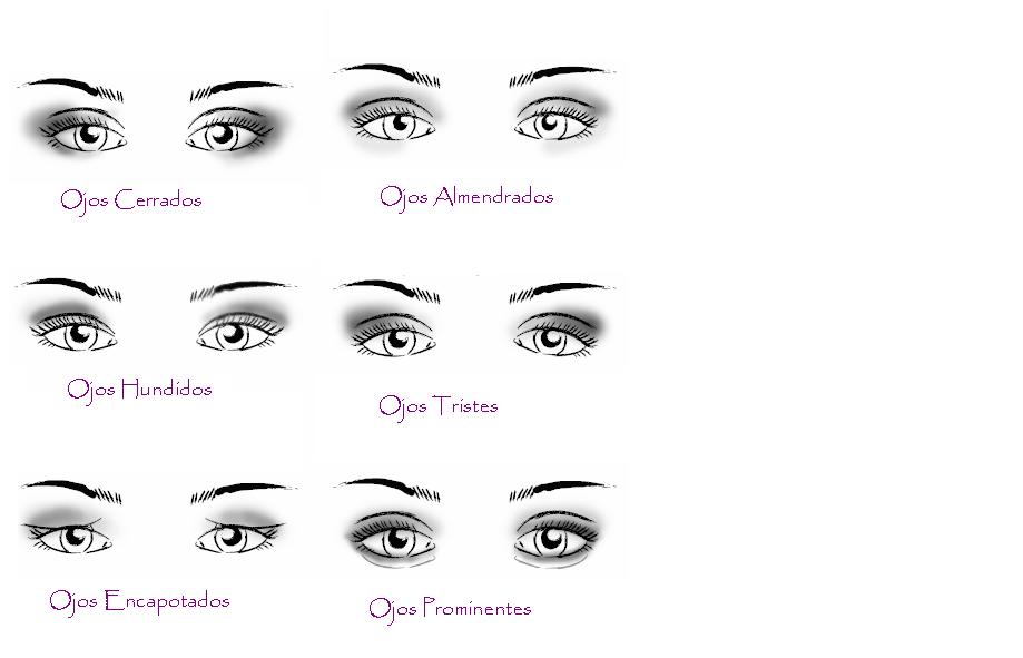 Tipos de ojos - Imagui