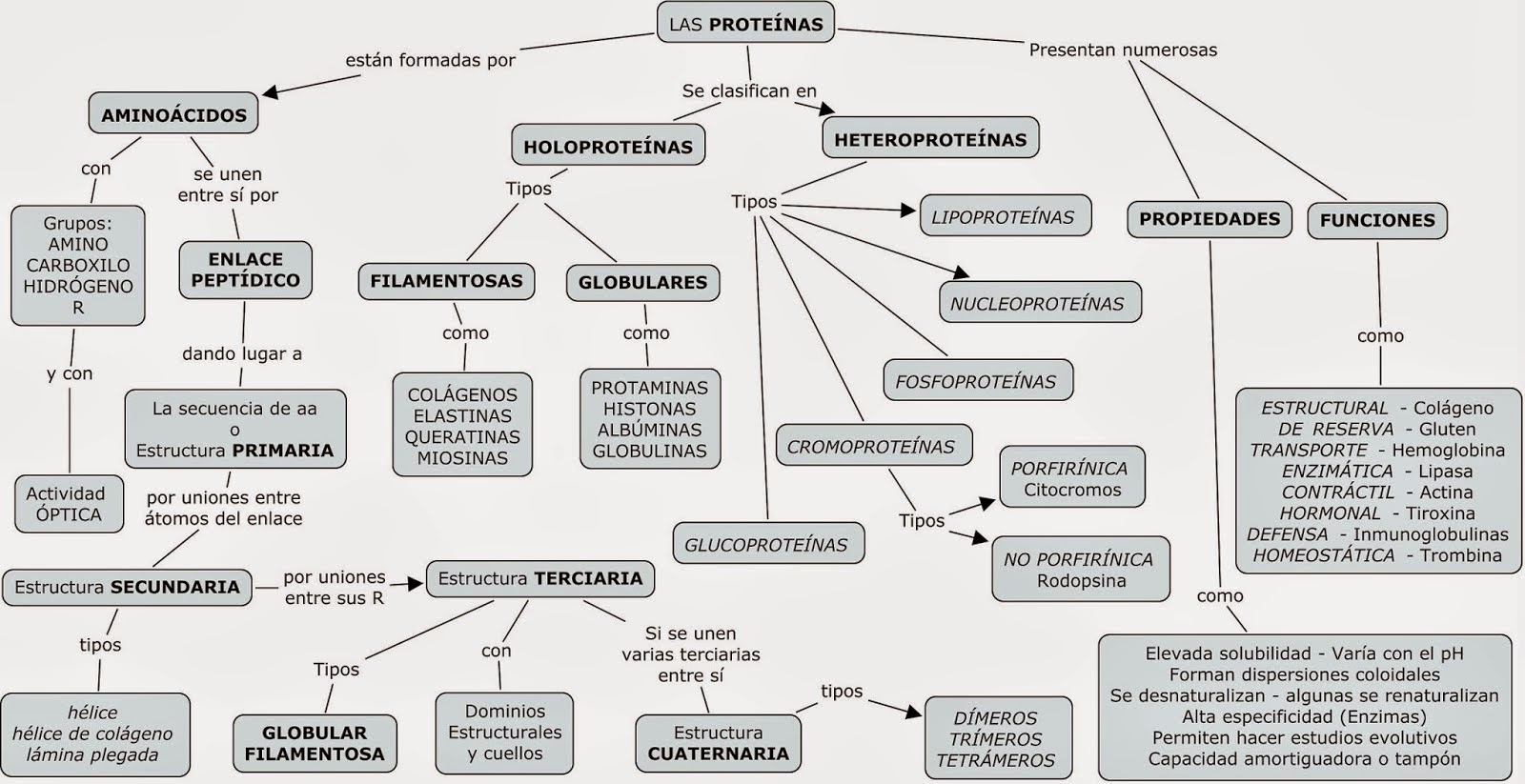 Clases de ciencias: ESQUEMAS