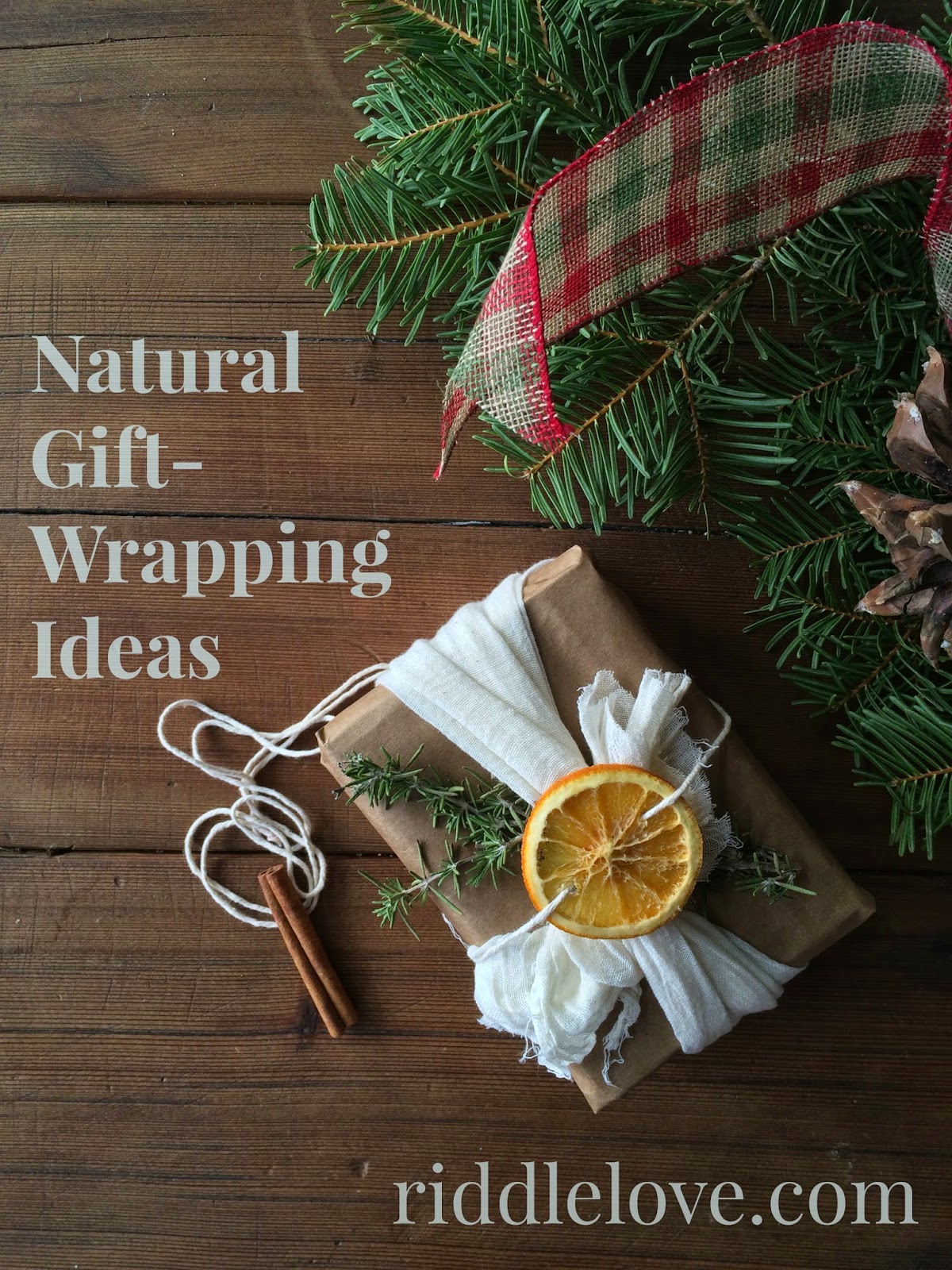 Riddlelove Wrap It Gorgeous Quick Easy Frugal Gift Wrapping Ideas riddlelove-wrap-it-gorgeous-quick-easy-frugal-gift-wrapping-ideas
