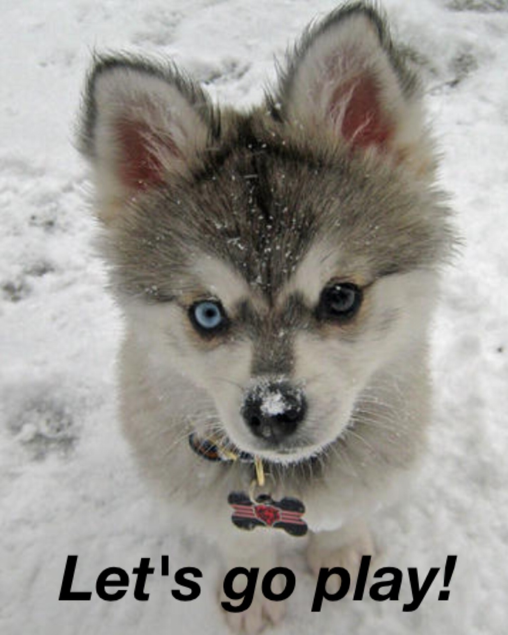 Amazing Pictures with Words