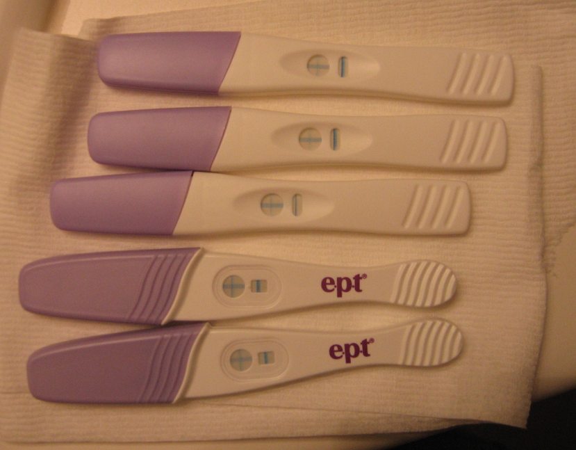 Show Pictures Of Pregnancy Test That Are Positive Pro 2034 show-pictures-of-pregnancy-test-that-are-positive-pro-2034