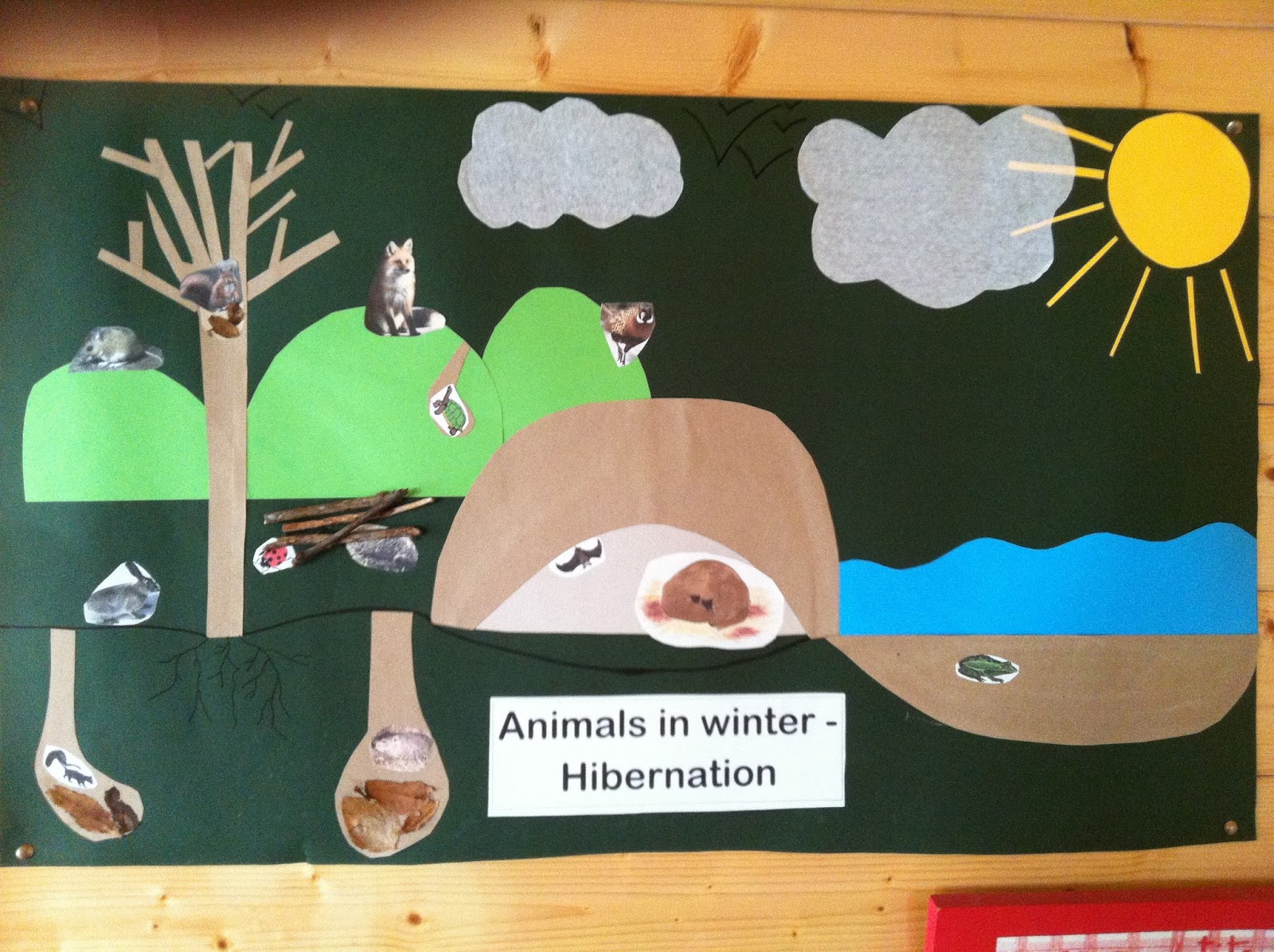 IMG_0547.JPG (1600×1195) | Hibernation preschool theme, Animals that ...