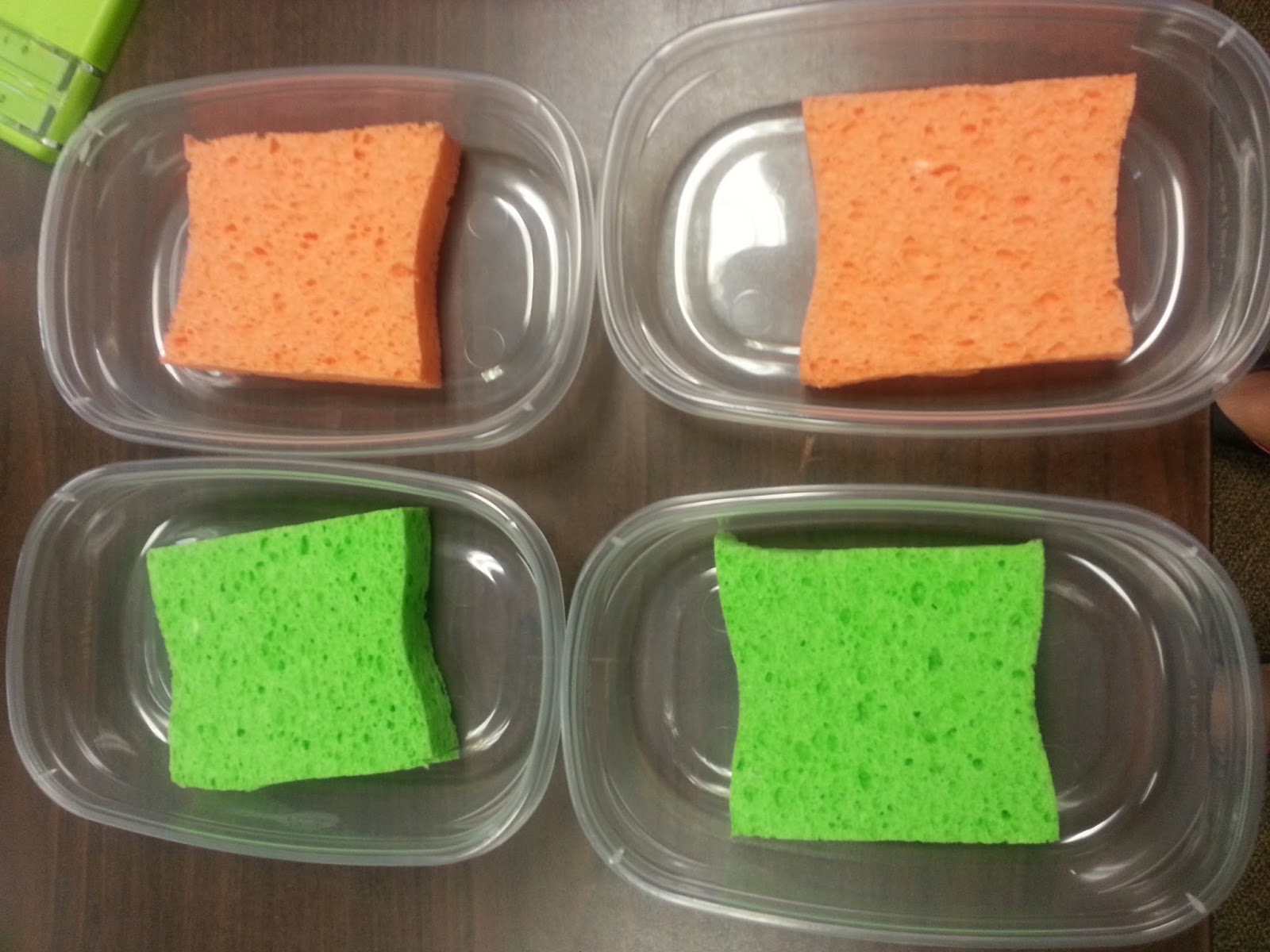 The Glue Sponge Saddle Up For Second Grade the-glue-sponge-saddle-up-for-second-grade
