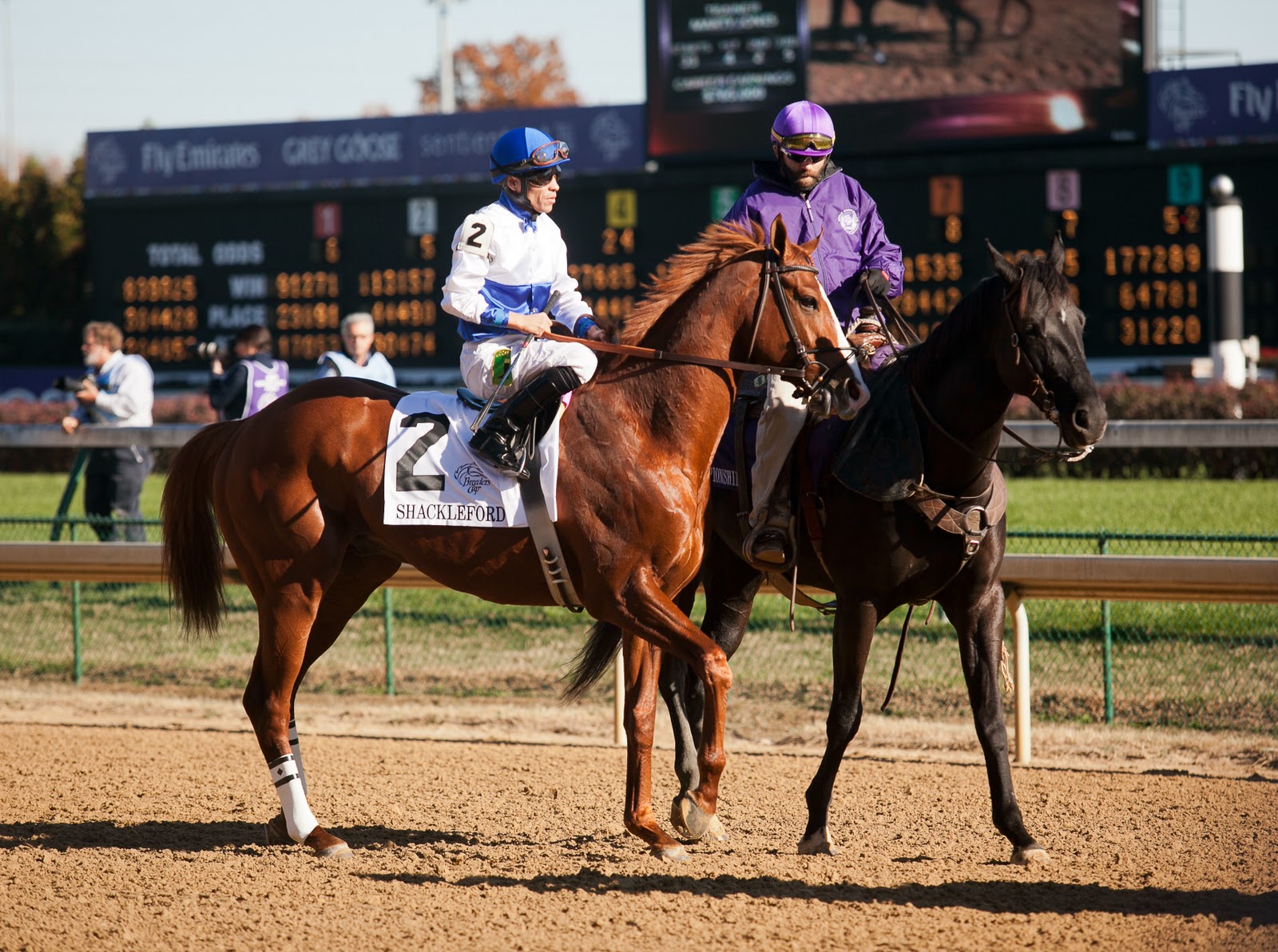 Past the Grandstand: Stallion Feature: Shackleford Past the Grandstand: Stallion Feature: Shackleford