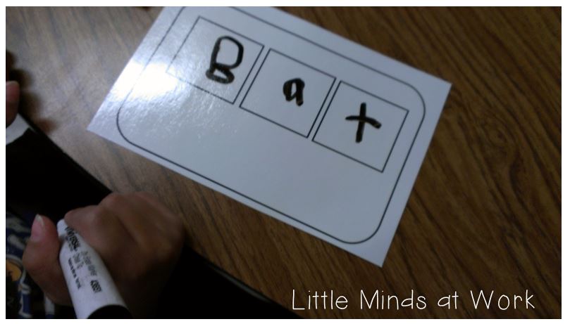 Phoneme Segmentation {and a freebie} - Little Minds at Work