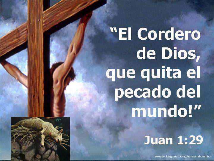 Mujer eres Libre y exitosa: JESÚS CORDERO DE DIOS QUE QUITA EL PECADO