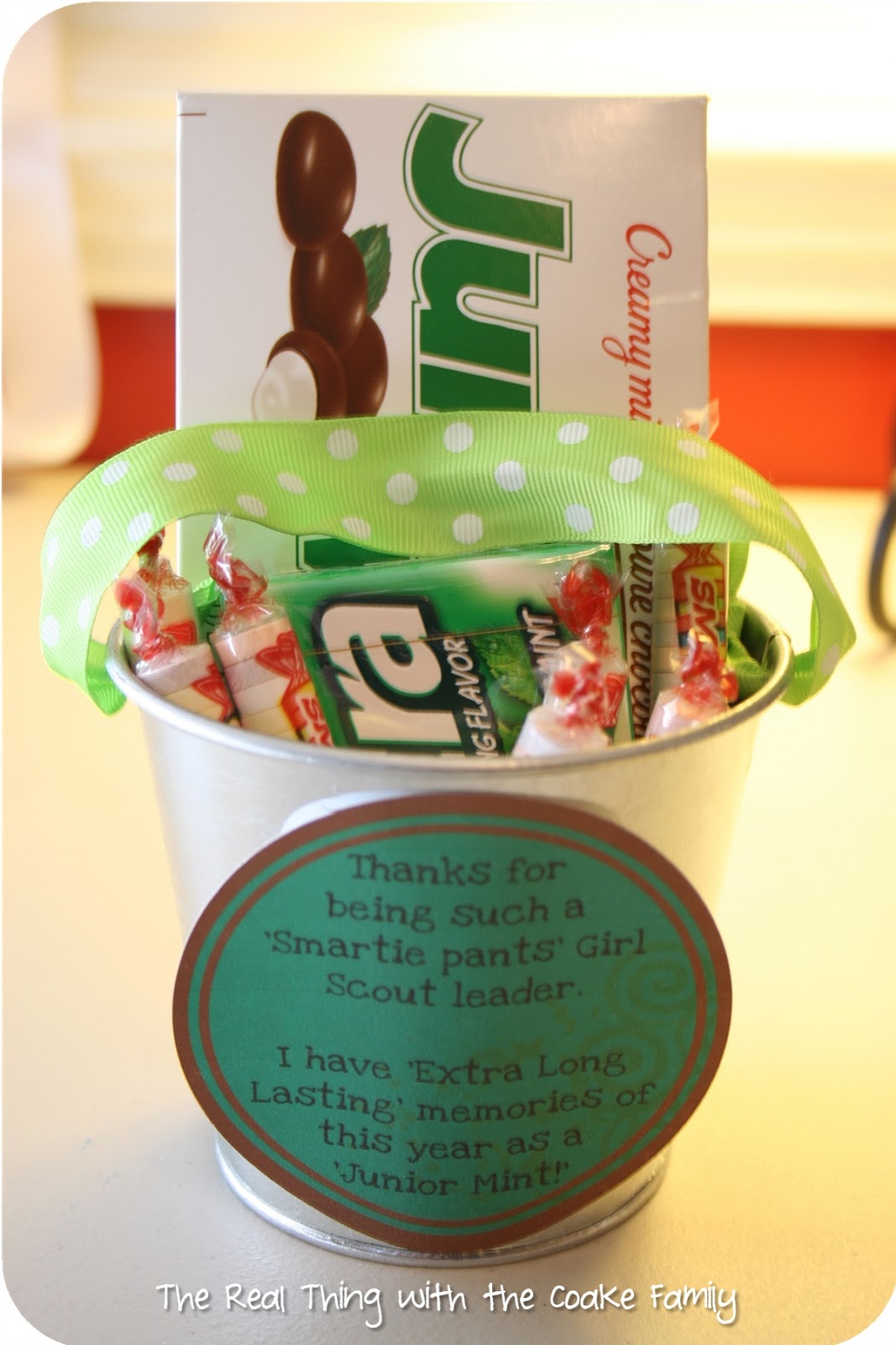 Inspirational Quote For A Girl Scout Leader Gift inspirational-quote-for-a-girl-scout-leader-gift