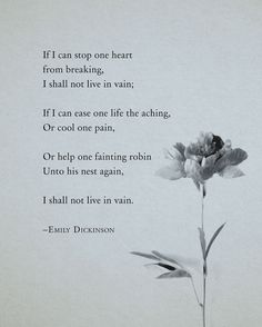Ponderous Thoughts: //poem by emily dickinson//