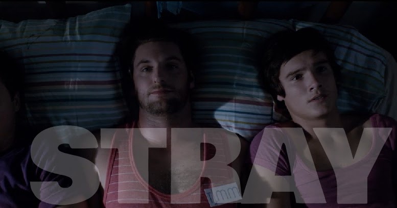 AdamMaleBlog - Gay Culture, Art, Music, Humor, and more!: Must Watch: Stray (2015) Short Film