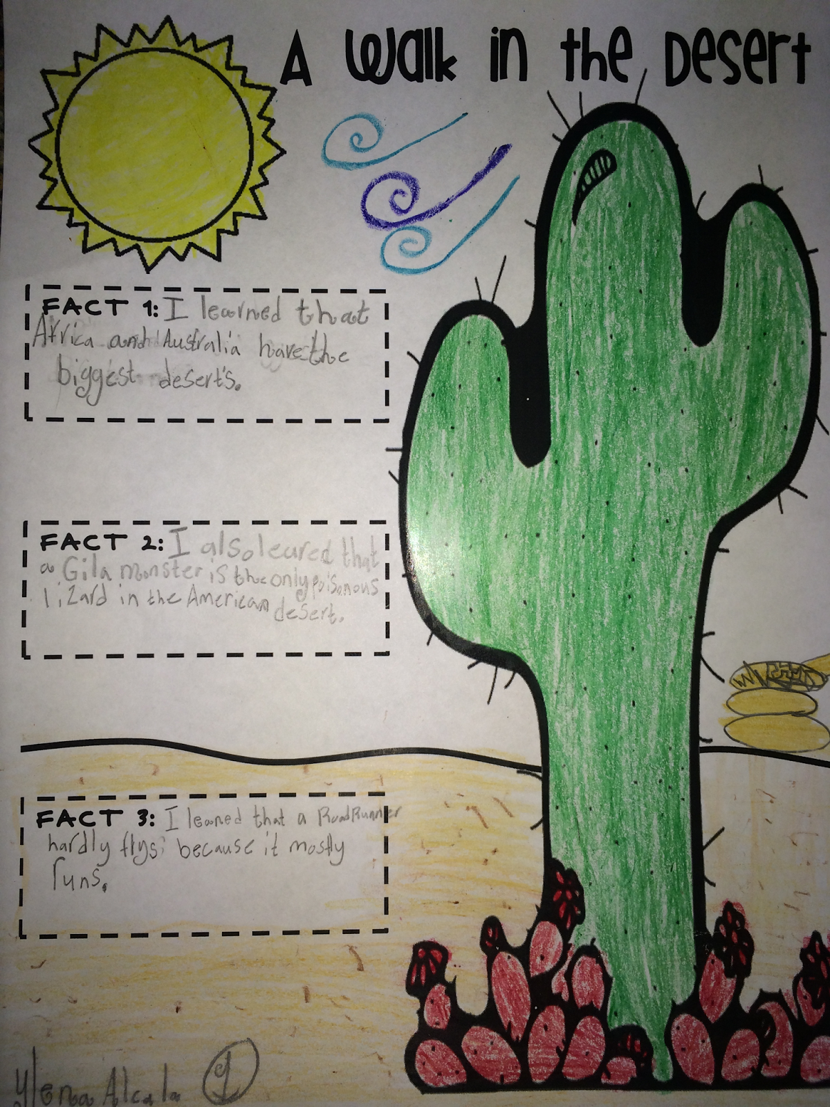 Totally Terrific in Texas: Reading Street- Desert Stories