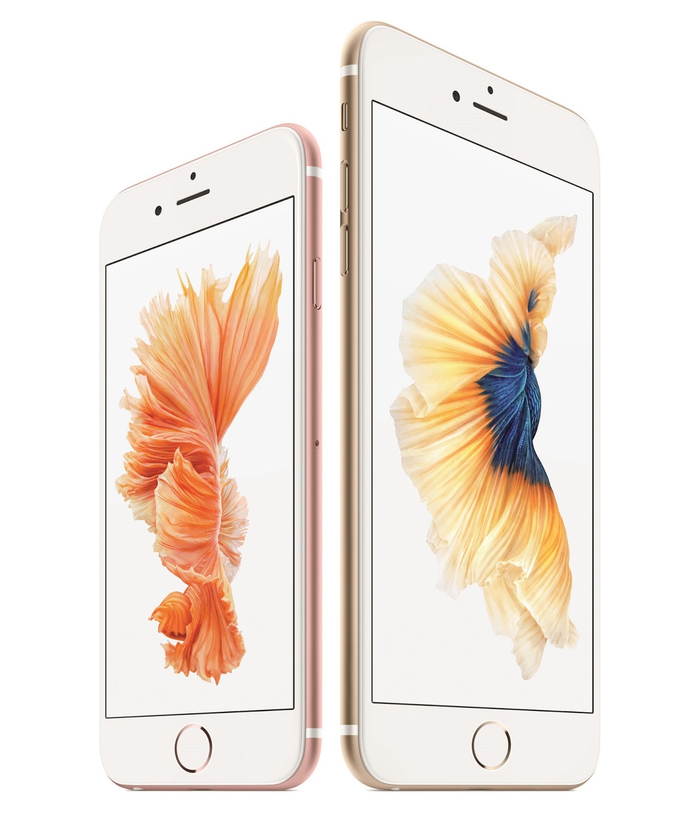 IPhone 6s En 6s Plus Ruim 13 Miljoen Keer Verkocht In Eerste Weekend iphone-6s-en-6s-plus-ruim-13-miljoen-keer-verkocht-in-eerste-weekend