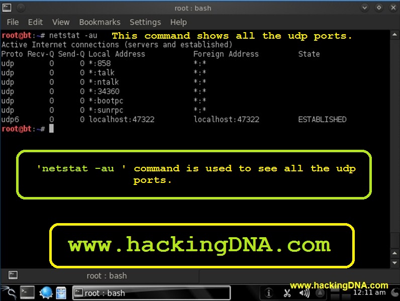 HackingDNA: Learn how to use Netstat Commands On Backtrack 5 HackingDNA: Learn how to use Netstat Commands On Backtrack 5