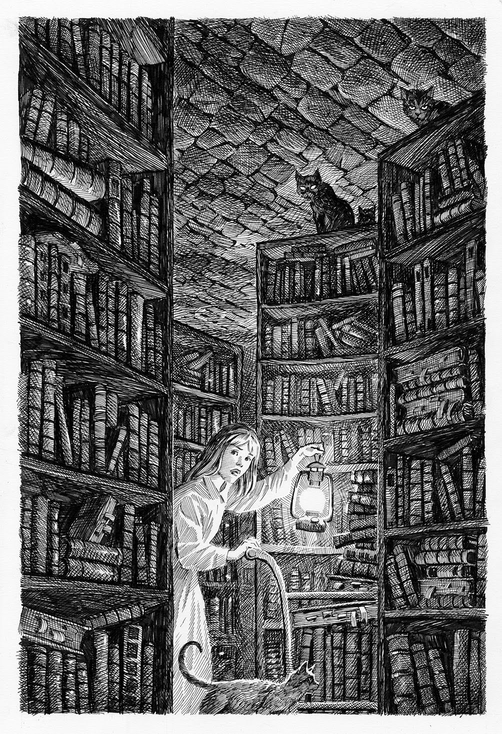 The Book Zone: Review: The Forbidden Library by Django Wexler The Book Zone: Review: The Forbidden Library by Django Wexler