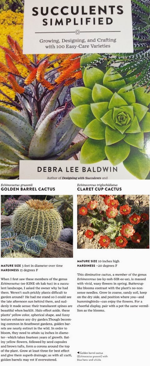 Book : Succulents Simplified