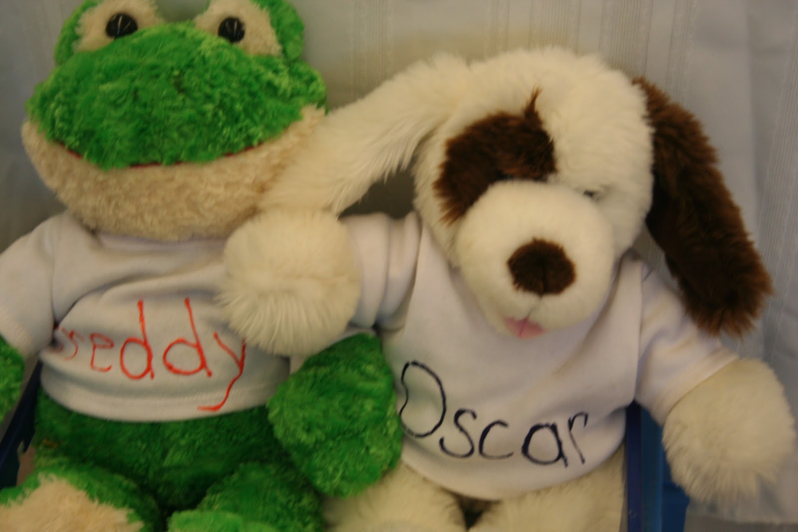 Election Day! - Megan Mitchell