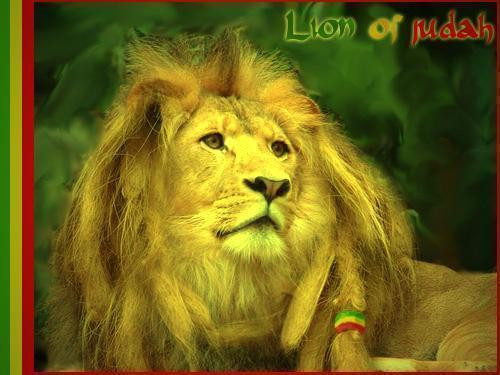 Imagenes de leones reggae - Imagui