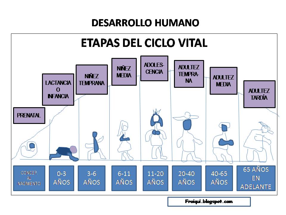 Desarrollo Humano II: ETAPAS DEL CICLO VITAL Desarrollo Humano II: ETAPAS DEL CICLO VITAL