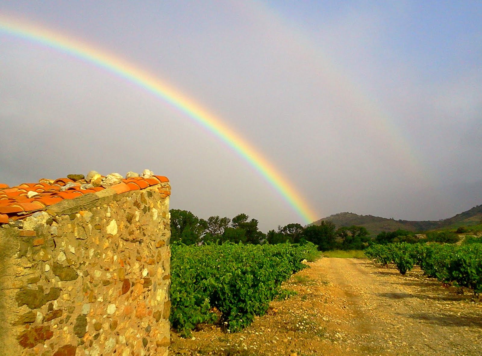 Les vignerons de Maury Le Blog: Arc-en-ciel
