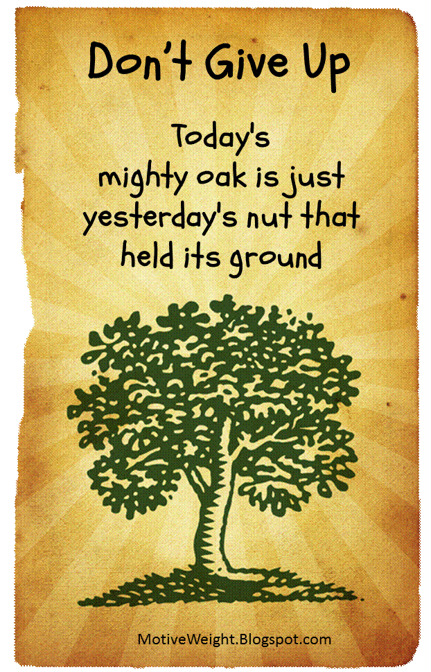 MotiveWeight Don t Give Up motiveweight-don-t-give-up