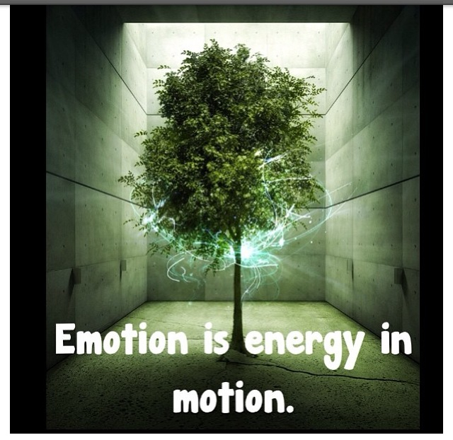 Walking on Wednesday ~ Emotions Stall, and Then Lead to Motion